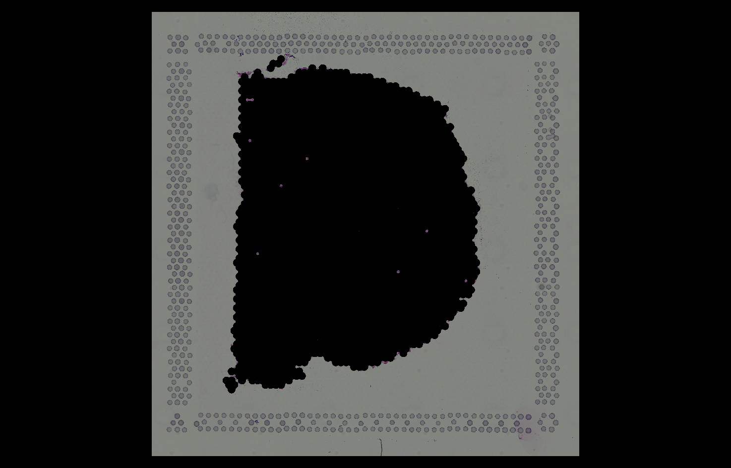 Error when selecting gene expression using interactive viewer · Issue #485 · scverse/squidpy ...