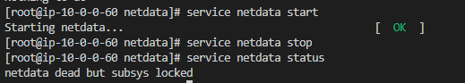Can't start netdata in Amazon Linux · Issue #6522 · netdata/netdata · GitHub