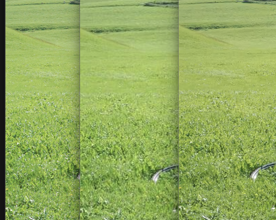 tif to avif convert, green / pink color distorted · Issue #6111 · ImageMagick/ImageMagick · GitHub