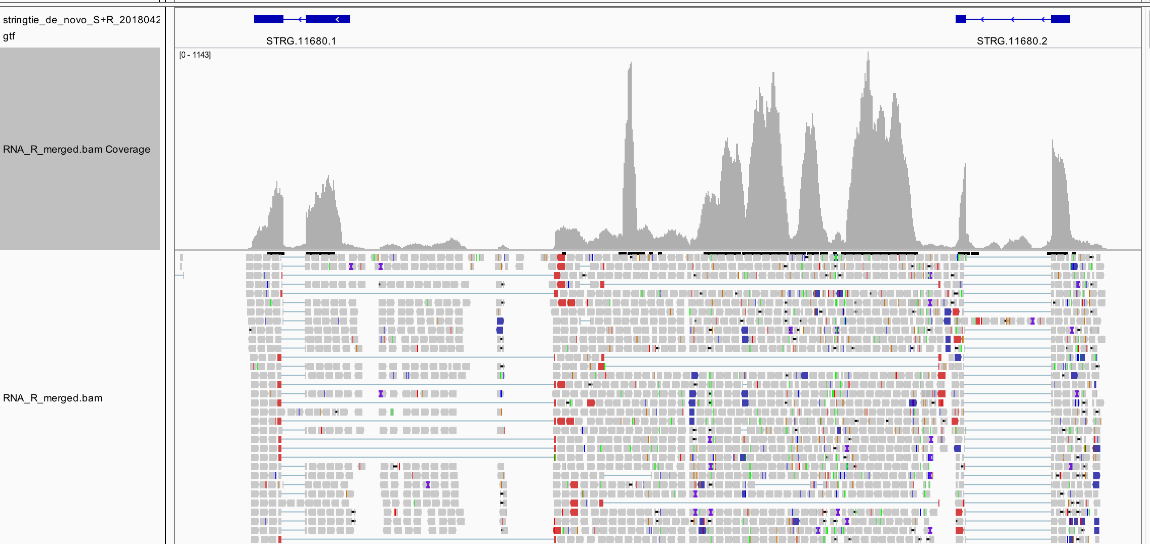 Non-overlapping transcripts assigned with identical gene_id · Issue #180 · gpertea/stringtie ...