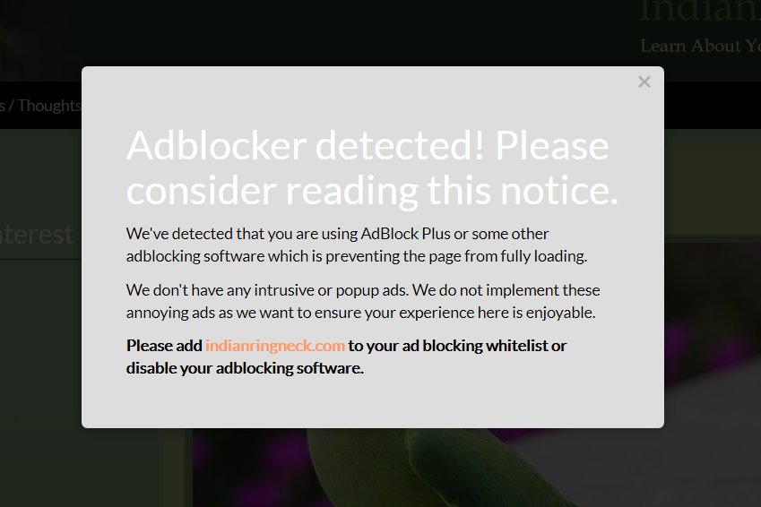 indianringneck.com / bigfreegiveaway.com [Anti-Adblock] · Issue #3832 · uBlockOrigin/uAssets ...