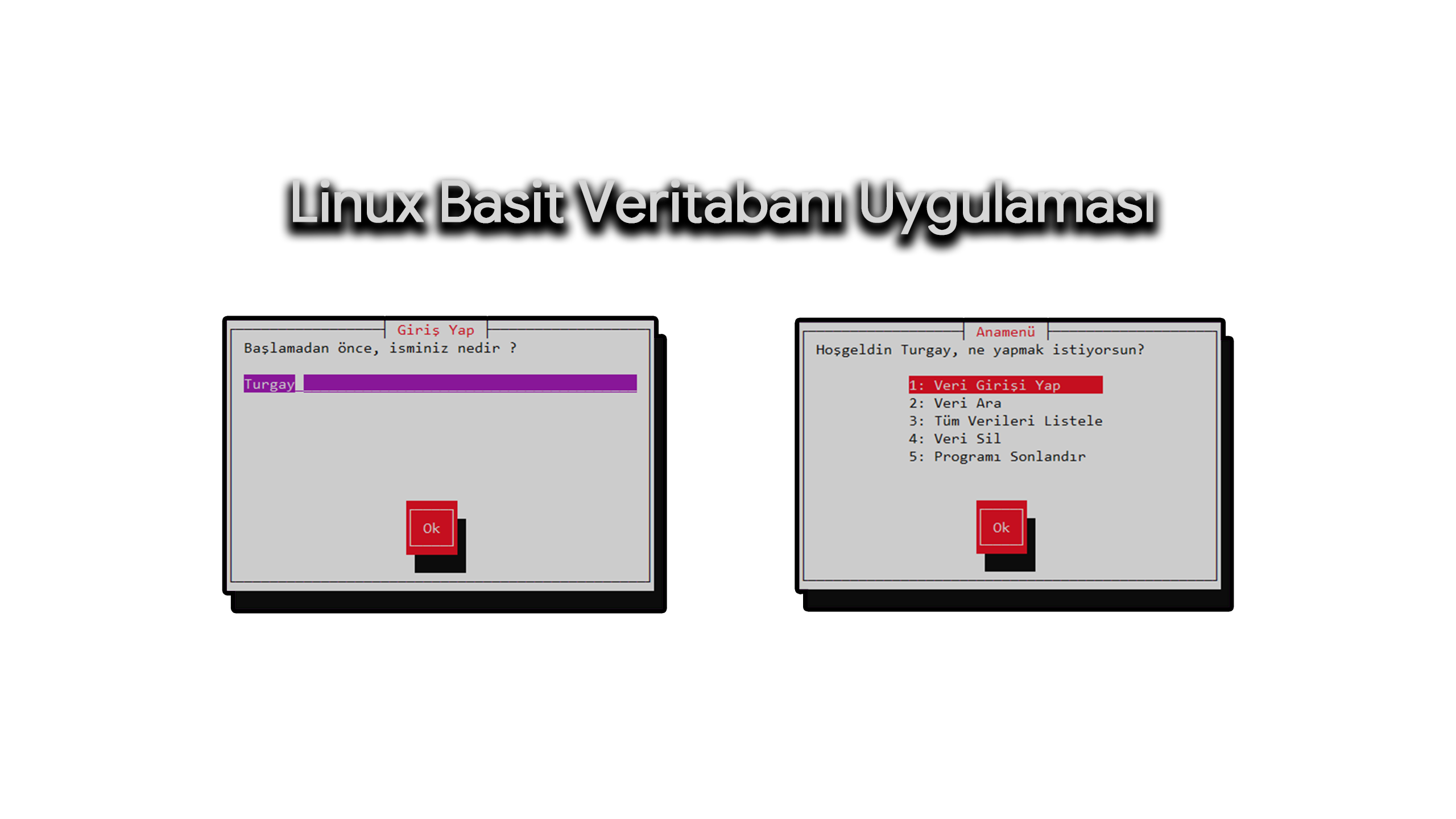Github Yahyacanozdemirlinuxshellscriptguiprogram Linux Whiptail Ve Bash Script Ile Yazılan 8628
