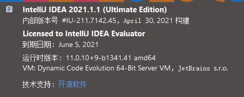 最新版IDEA 2021.1.1启动插件报错 · Issue #754 · YiiGuxing/TranslationPlugin · GitHub