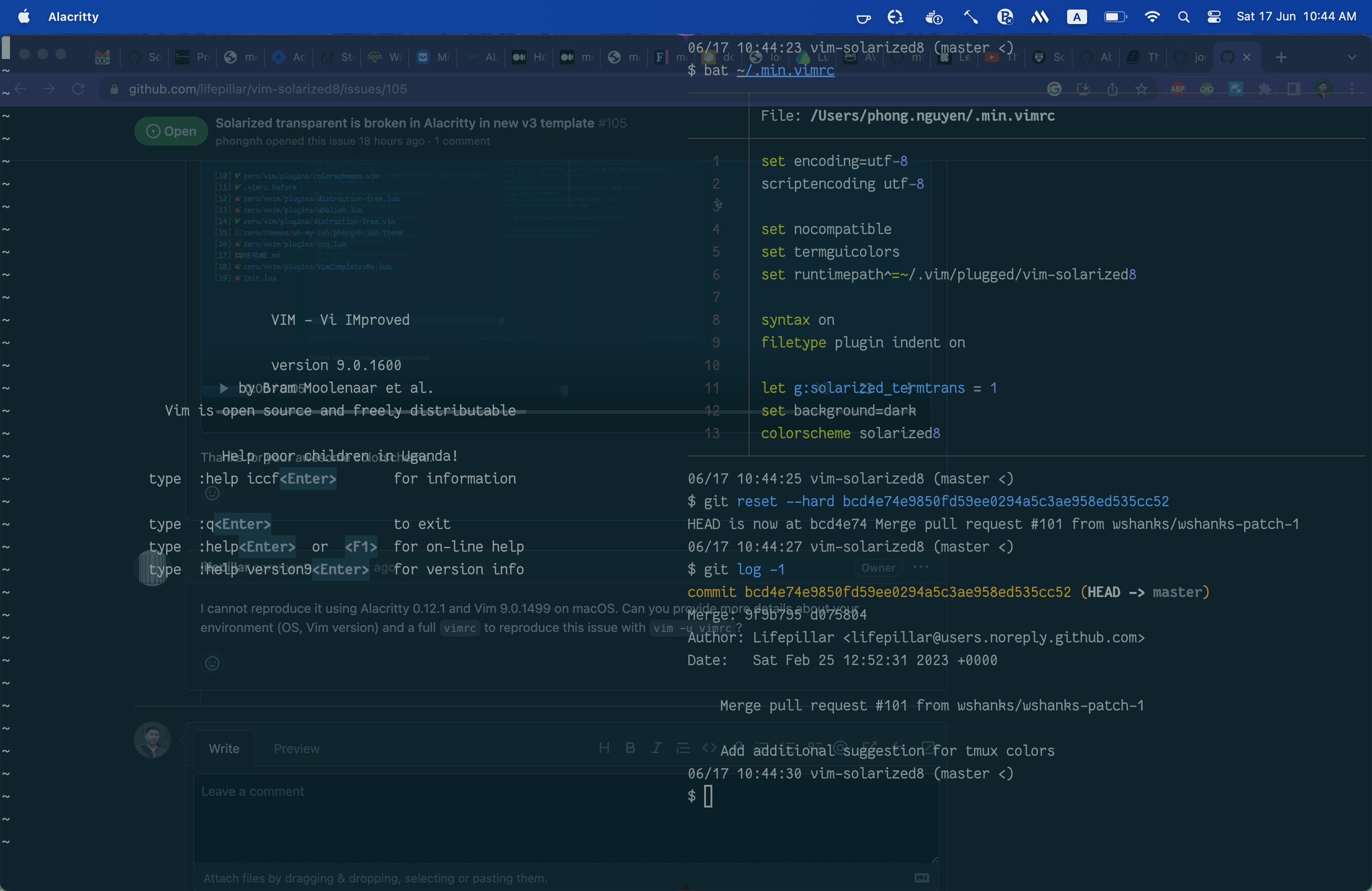Solarized transparent is broken in Alacritty in new v3 template · Issue #105 · lifepillar/vim ...