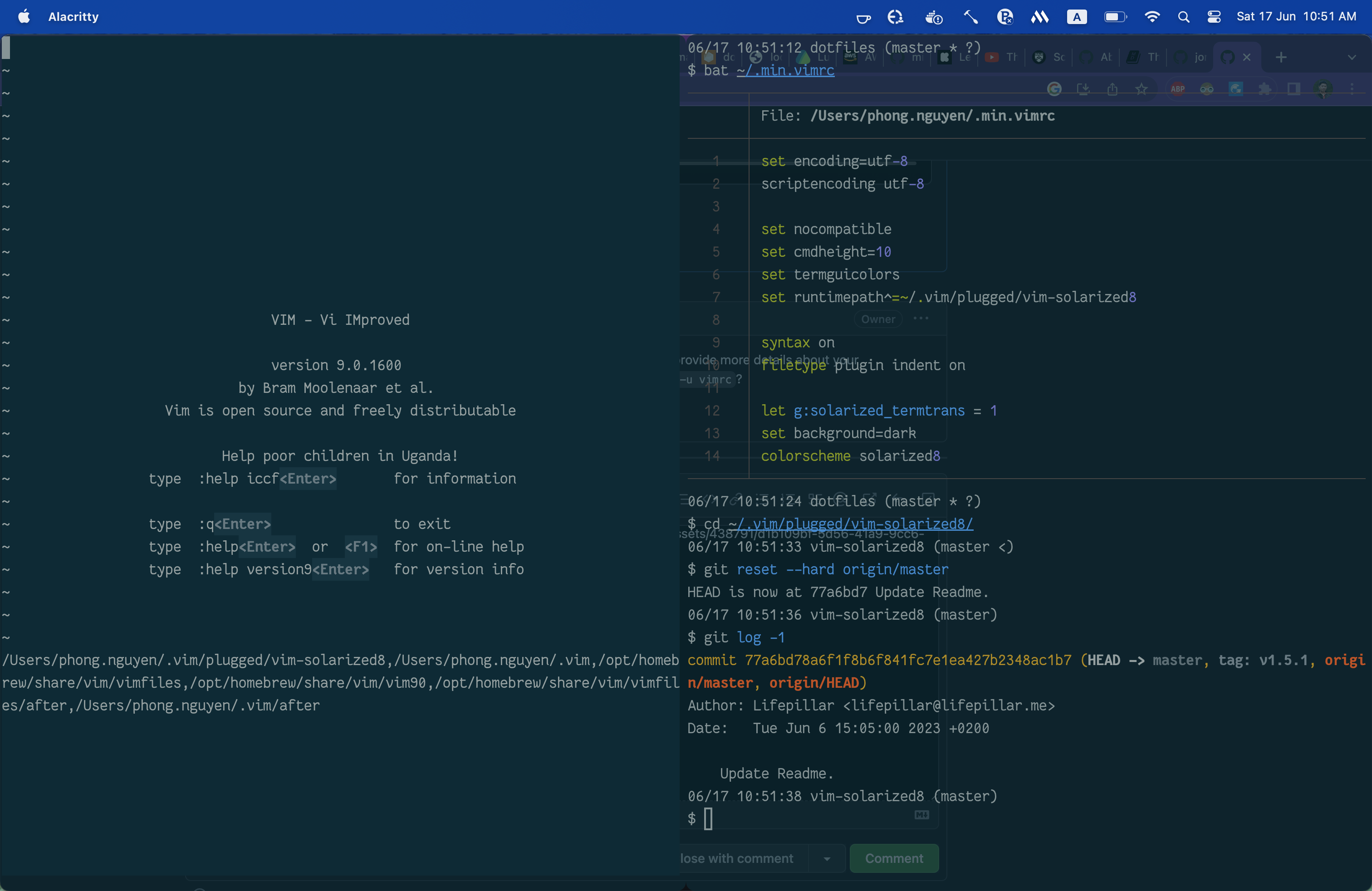 Solarized transparent is broken in Alacritty in new v3 template · Issue #105 · lifepillar/vim ...