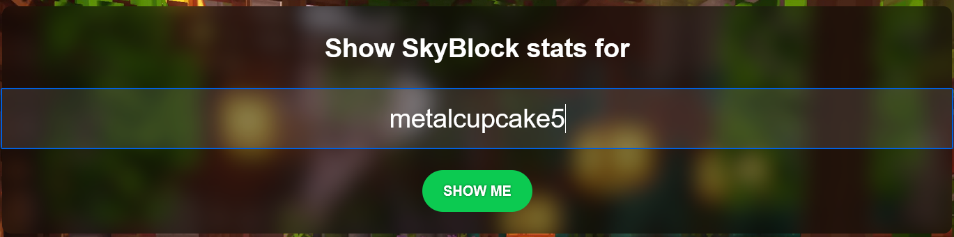 Small css thing · Issue #1257 · SkyCryptWebsite/SkyCrypt · GitHub