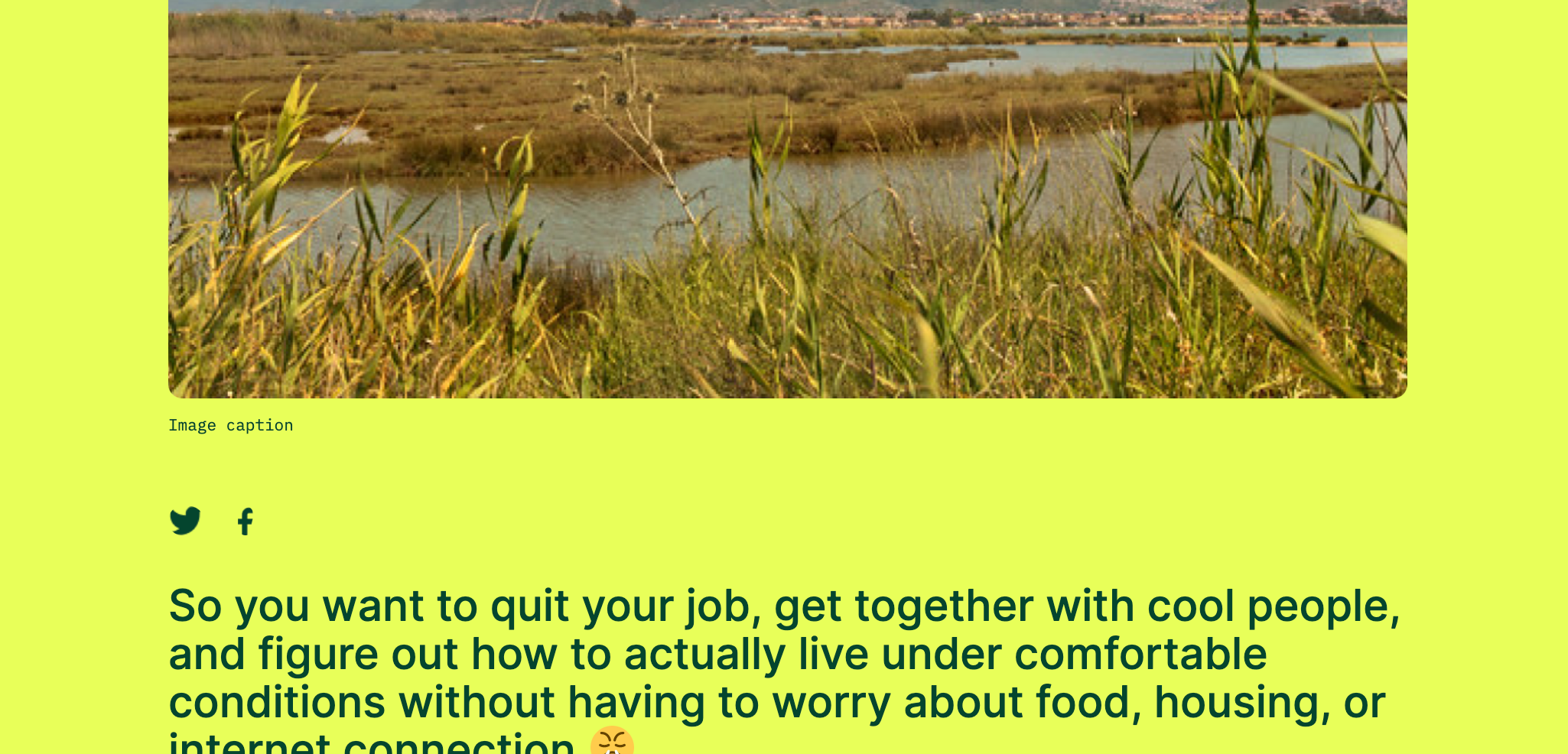 Social Media Fields Added · Issue #19 · johnlewissims/symbiosis · GitHub