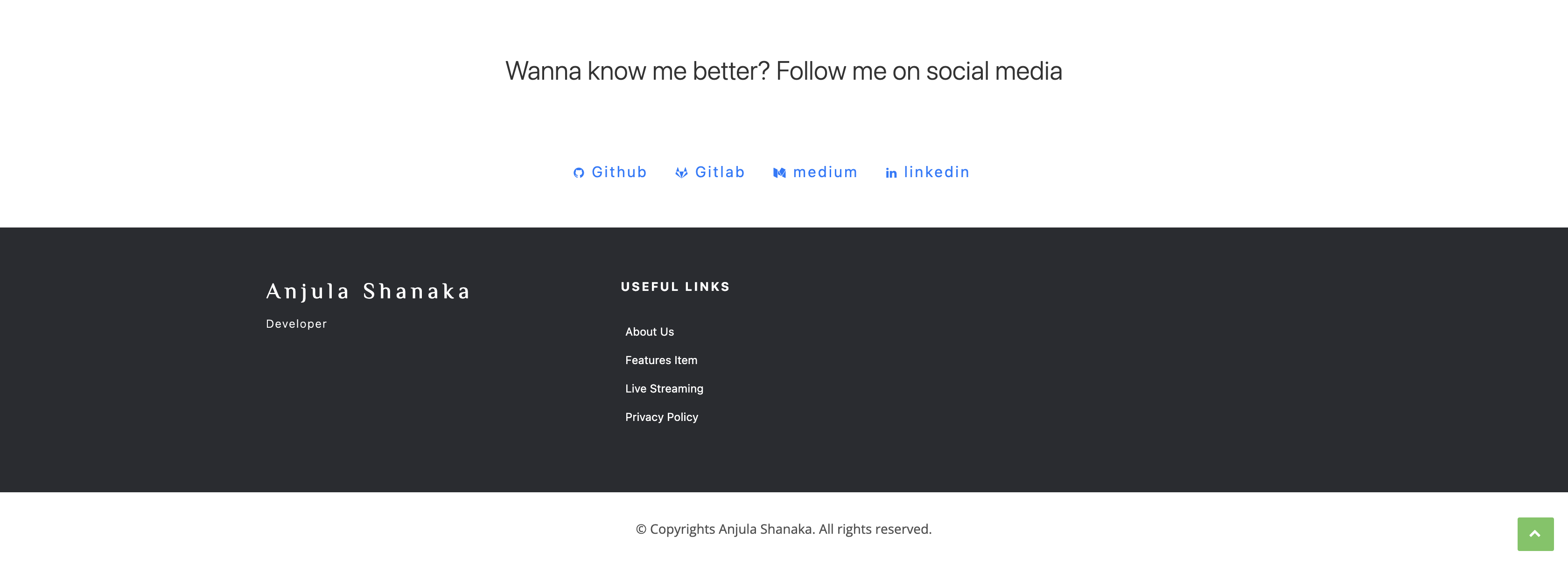 Update the footer · Issue #19 · anjula-sack/my-portofolio · GitHub
