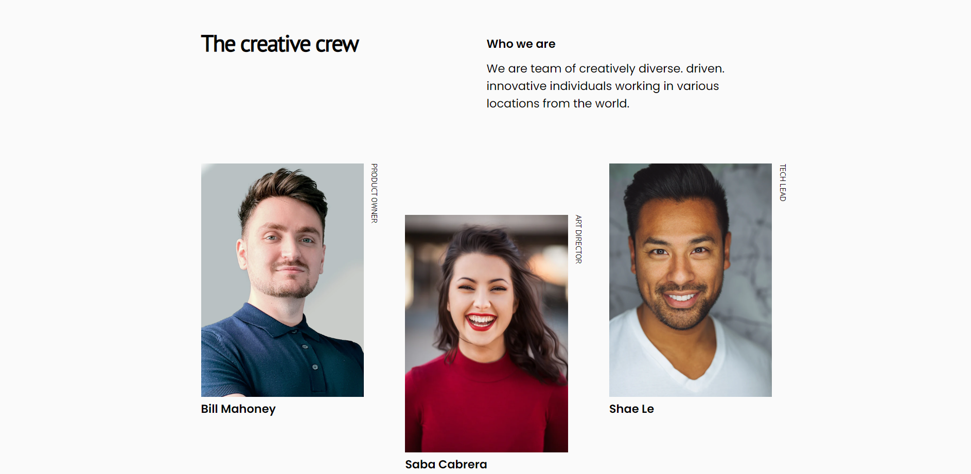GitHub - ncharanaraj/teamPage: teamPage web page is created as a submission to a DevChallenges ...