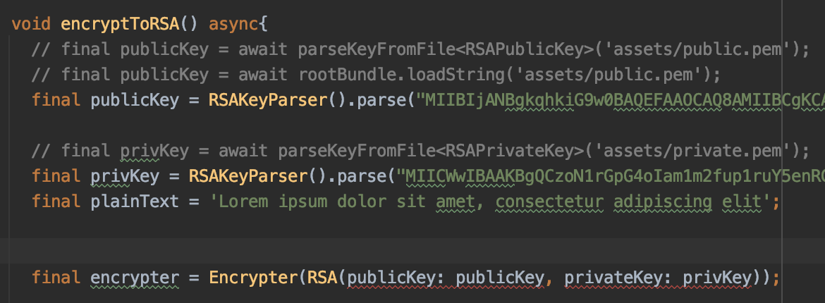 using RSA without pem file · Issue #219 · leocavalcante/encrypt · GitHub