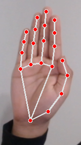 GitHub - RileyJJohnston/HandGestureRecognition