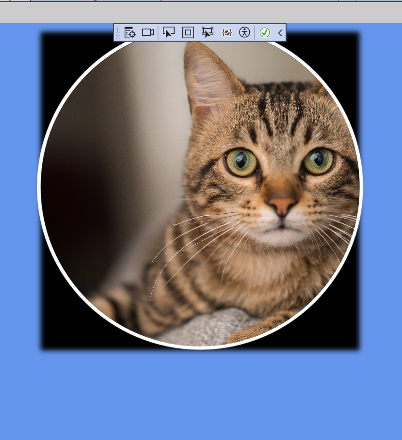 MAUI does not draw correct shadow for RoundRectangle Border when shape is set in Windows (simple ...