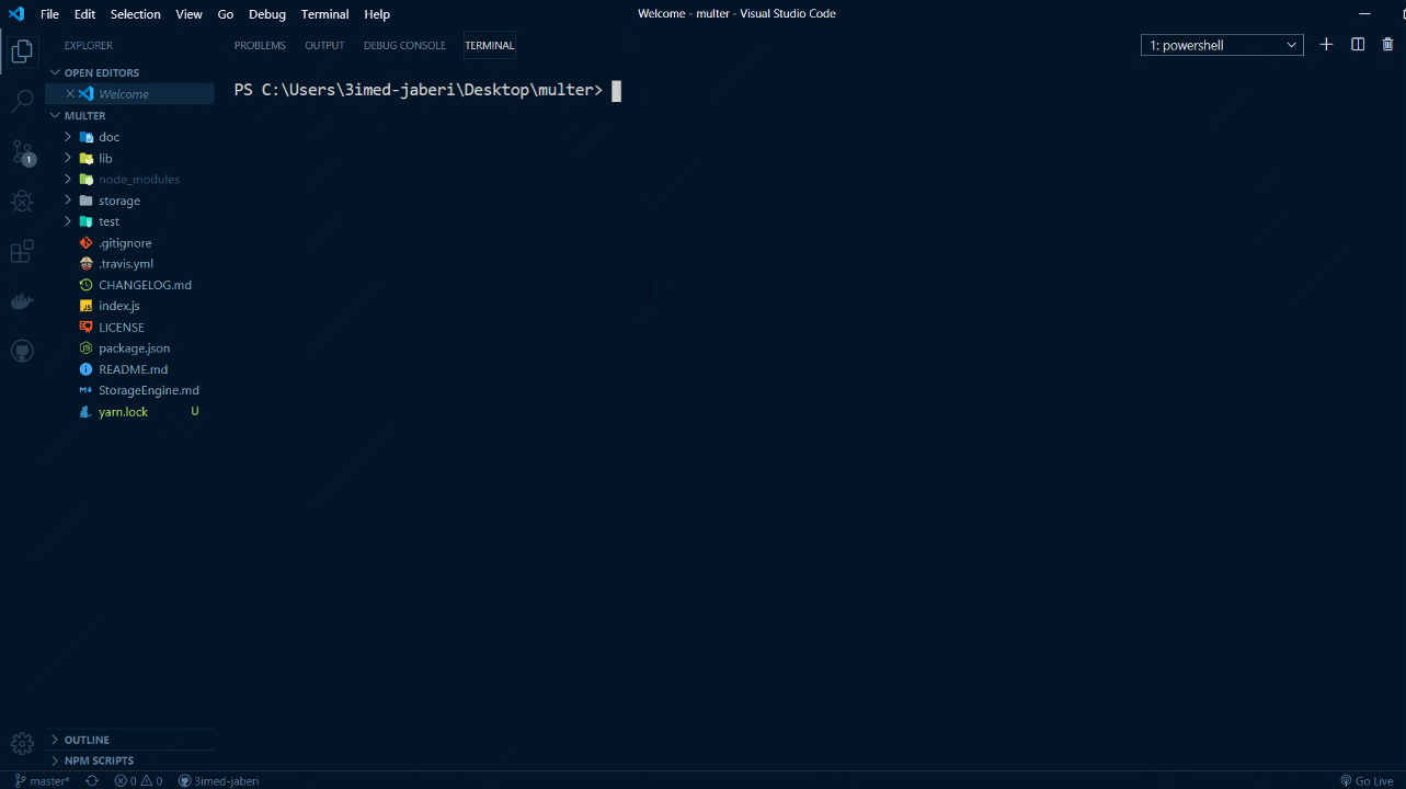 Test Cases Not Work And And Coverage Code Not Exist · Issue 827 · Expressjsmulter · Github