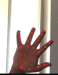 tfjs handpose not as accurate as mediapipe handpose web demo · Issue #3943 · tensorflow/tfjs ...