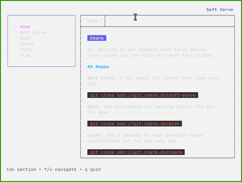 Unreadable on light theme · Issue #37 · charmbracelet/soft-serve · GitHub