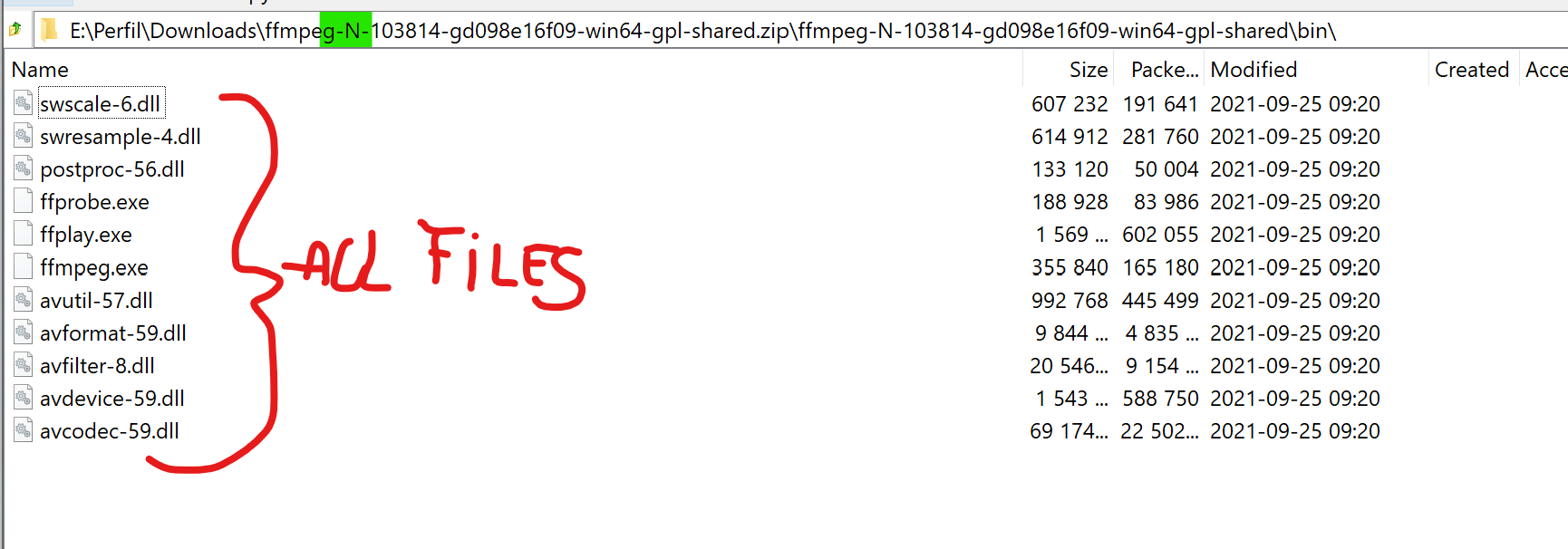 Whatever I do, the program doesn't detect FFMPEG and FFPROBE · Issue #210 · 0x90d ...