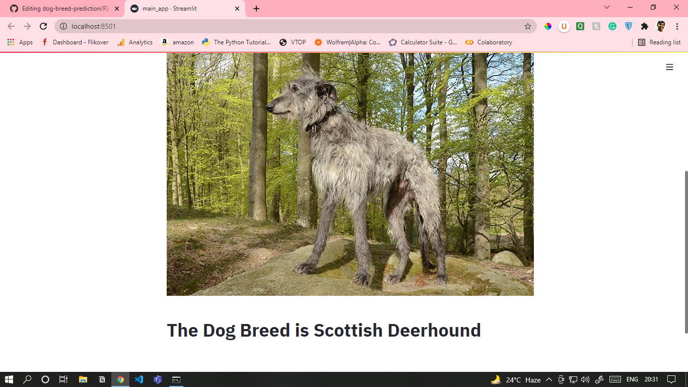 GitHub - AbhisekGanguly/dog-breed-prediction: Dog breed prediction ...