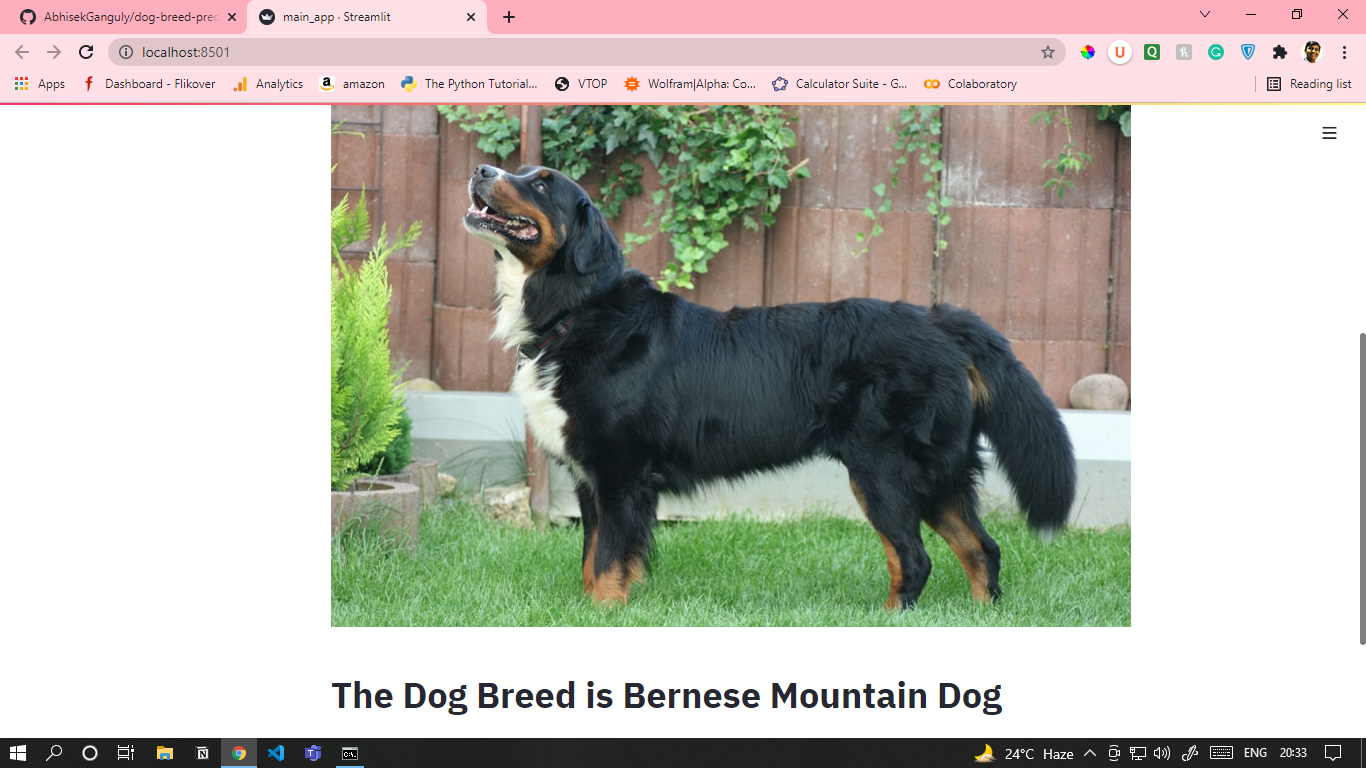 GitHub - AbhisekGanguly/dog-breed-prediction: Dog breed prediction using CNN and dataset from Kaggle