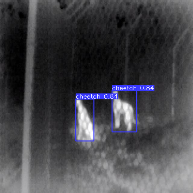 Github Muhammadhananasghar Thermal Imaging Object Detection Thermal
