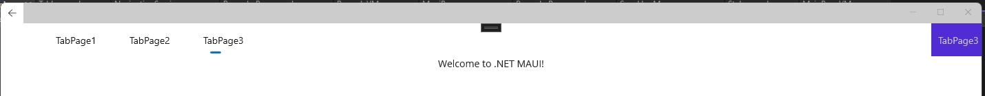 TabbedPage title displays incorrectly. It displays current selected child page title · Issue ...