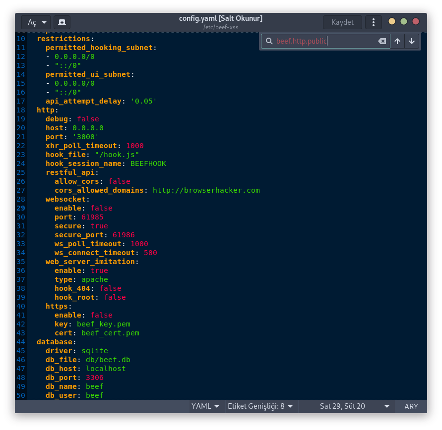 how to set up public ip here? · Issue #1788 · beefproject/beef · GitHub