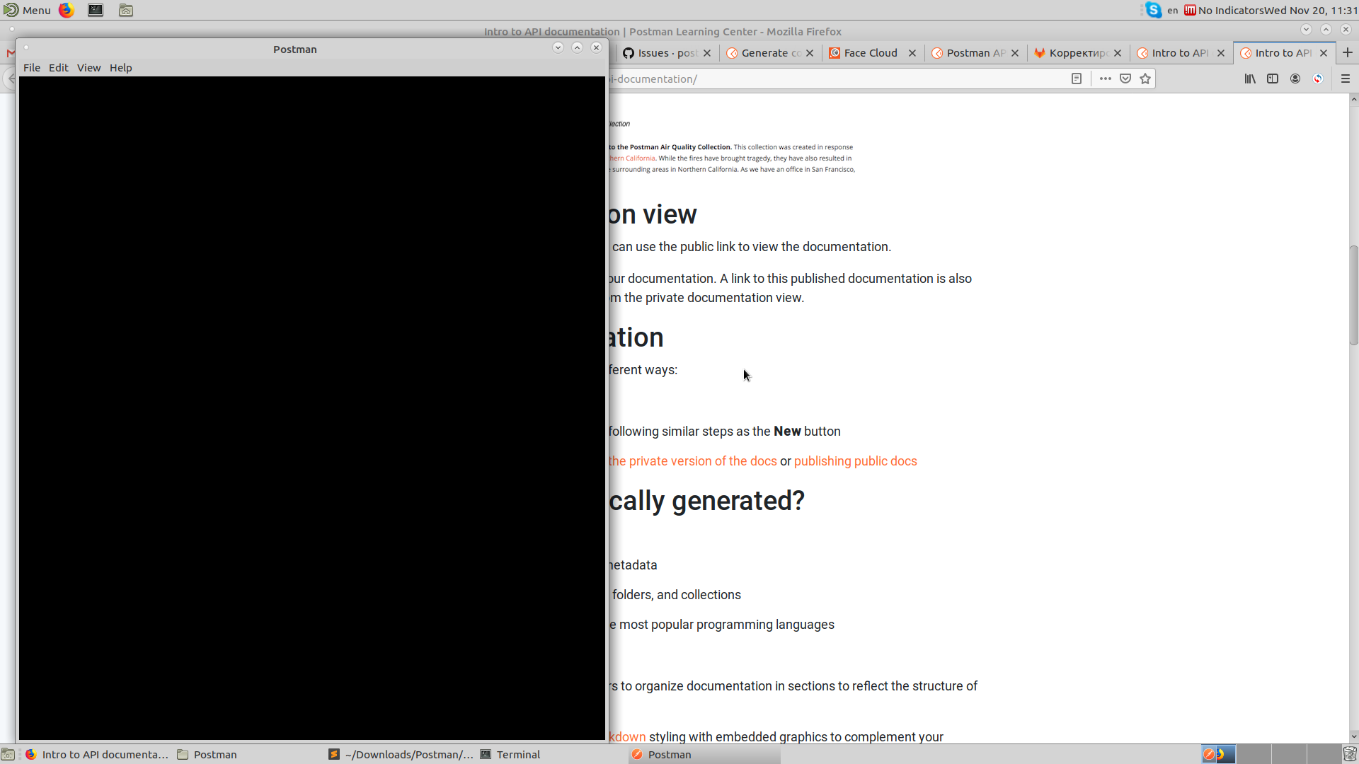 Postman application turns black in full screen mode in Docker container ...