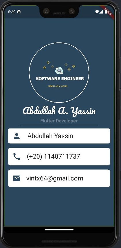 GitHub - vintx64/Business-Card-Flutter