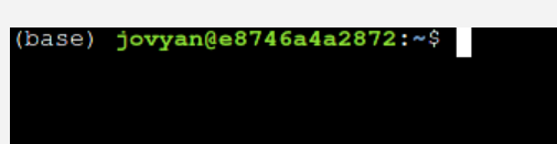 Bad rendering when using a terminal from launcher · Issue #1318 · jupyter/docker-stacks · GitHub