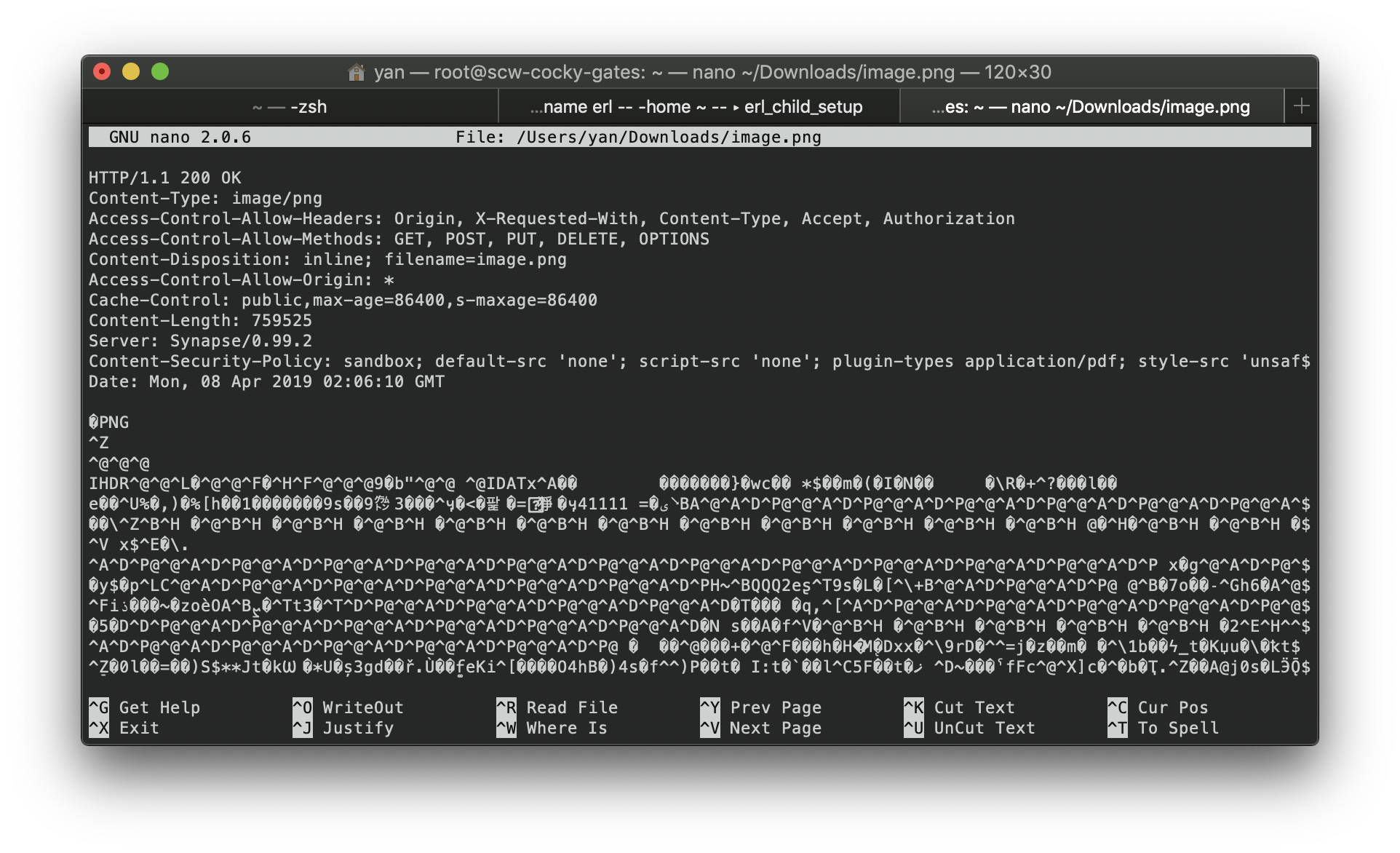 Downloaded files sometimes come with the original header on it's body, making the file invalid ...