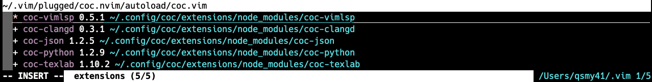 no "documentSymbols" in Vimscript files · Issue #1728 · neoclide/coc.nvim · GitHub