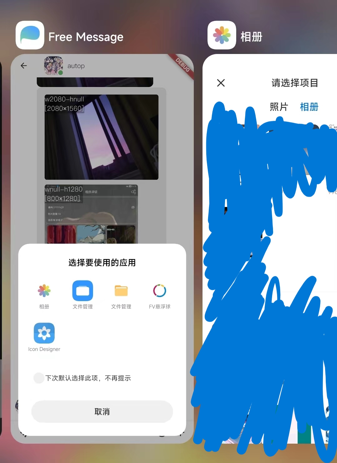 The selection is invalid when there are multiple album apps and there ...
