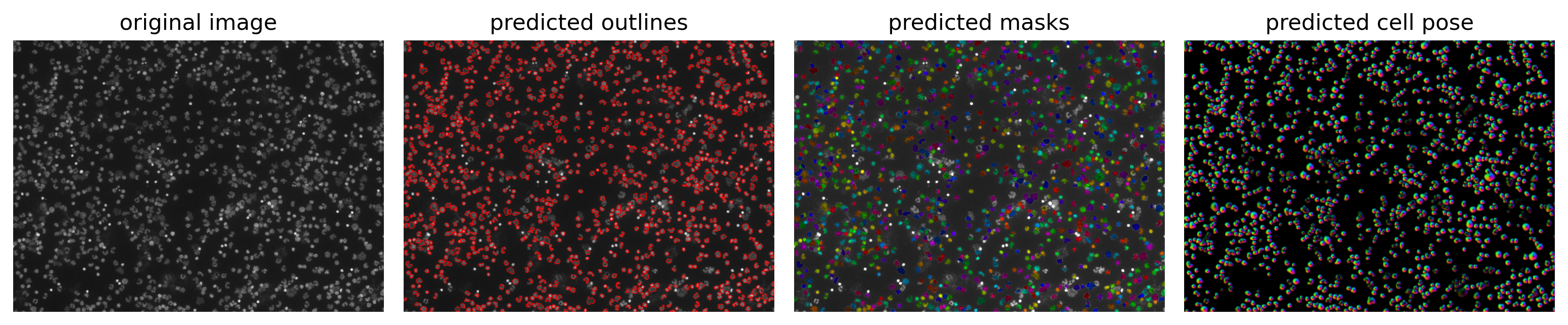 Cellpose results better online · Issue #547 · MouseLand/cellpose · GitHub