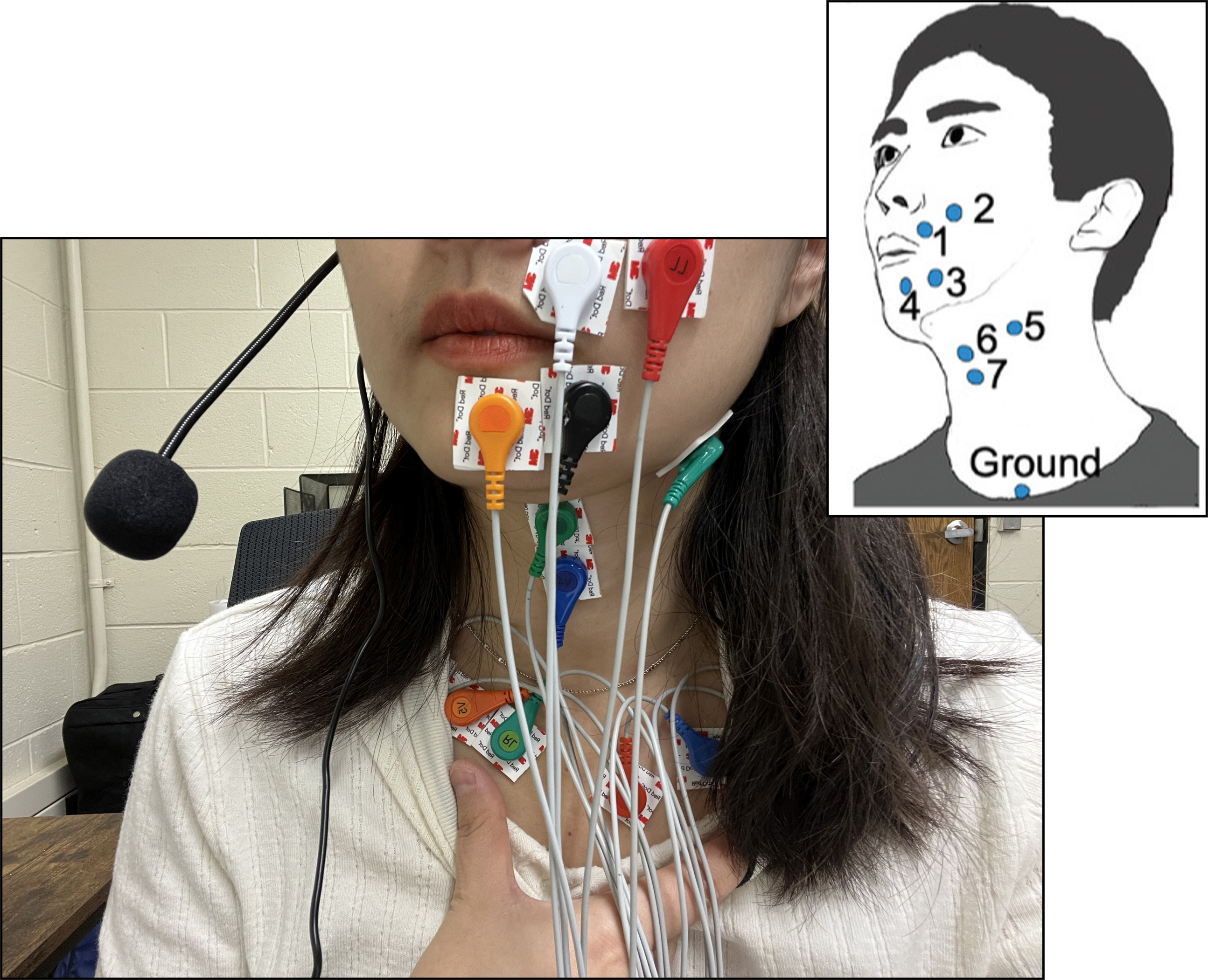 GitHub - yuli1102/The-sEMG-Commands-for-Piloting-Drones-sCPD-Dataset: sEMG-based subject ...