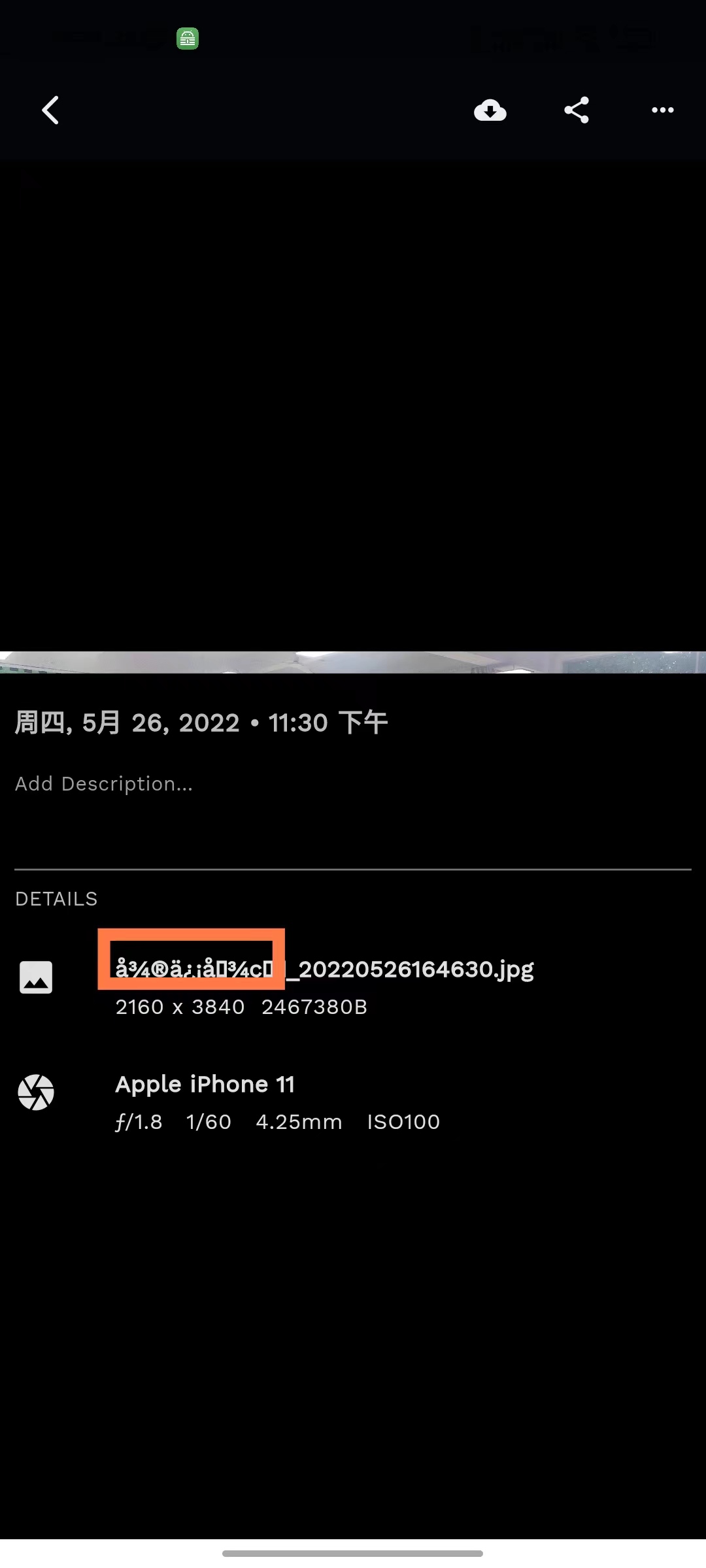 Bug Chinese File Name Becomes Garbled · Issue 951 · Immich App