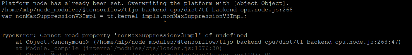 Error when using a custom model · Issue #397 · infinitered/nsfwjs · GitHub