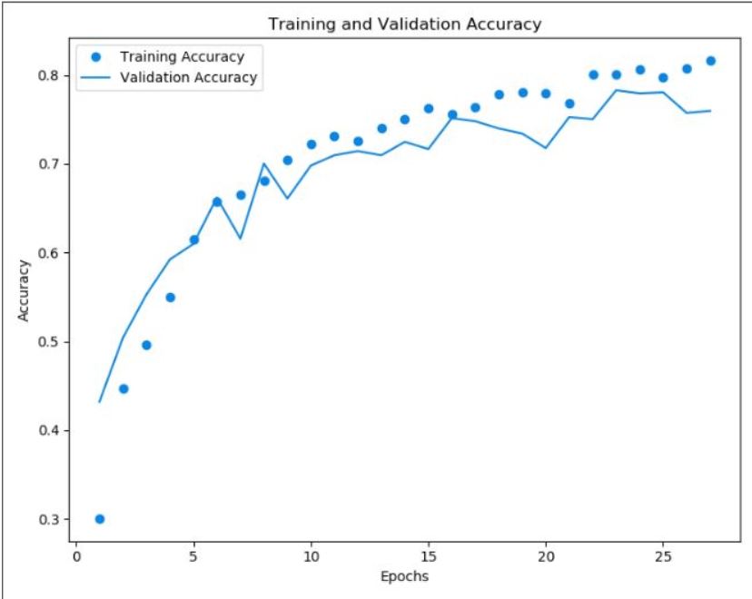 GitHub - yehudapashay/Flower_Classification: Flowers classification ...