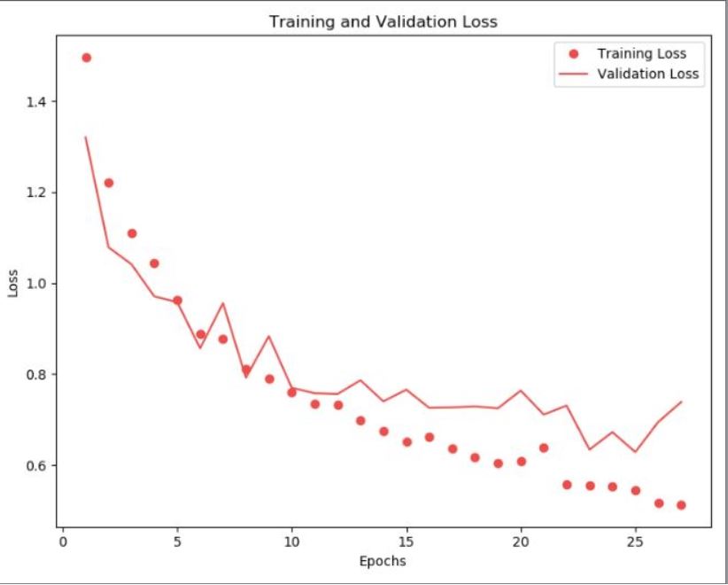 GitHub - yehudapashay/Flower_Classification: Flowers classification ...