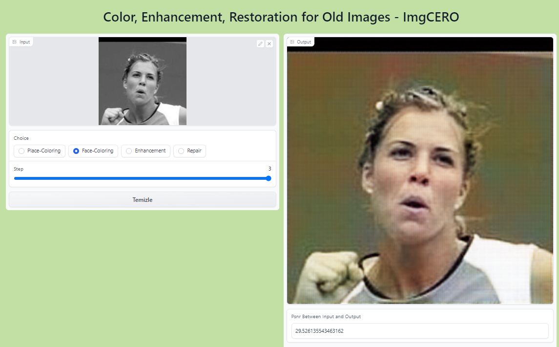 GitHub - ArdaCemBilecan/Colorization-and-Enhancement-of-Old-Images ...