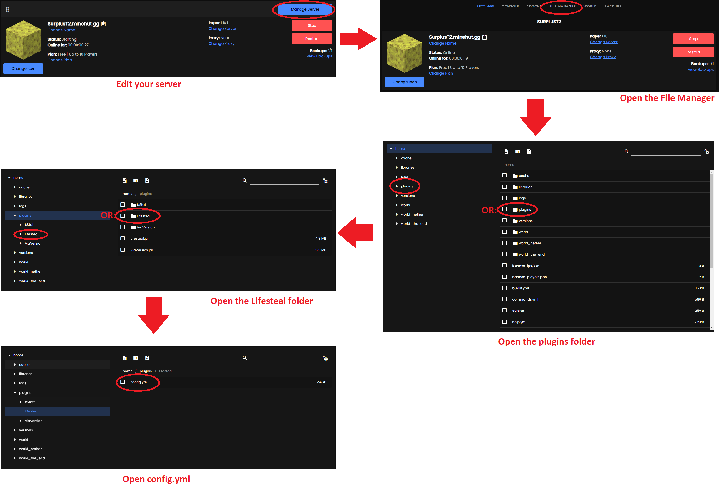 guide - Setloth/Lifesteal GitHub Wiki