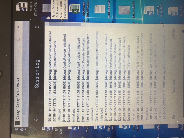 copay · Issue #9207 · bitpay/wallet · GitHub