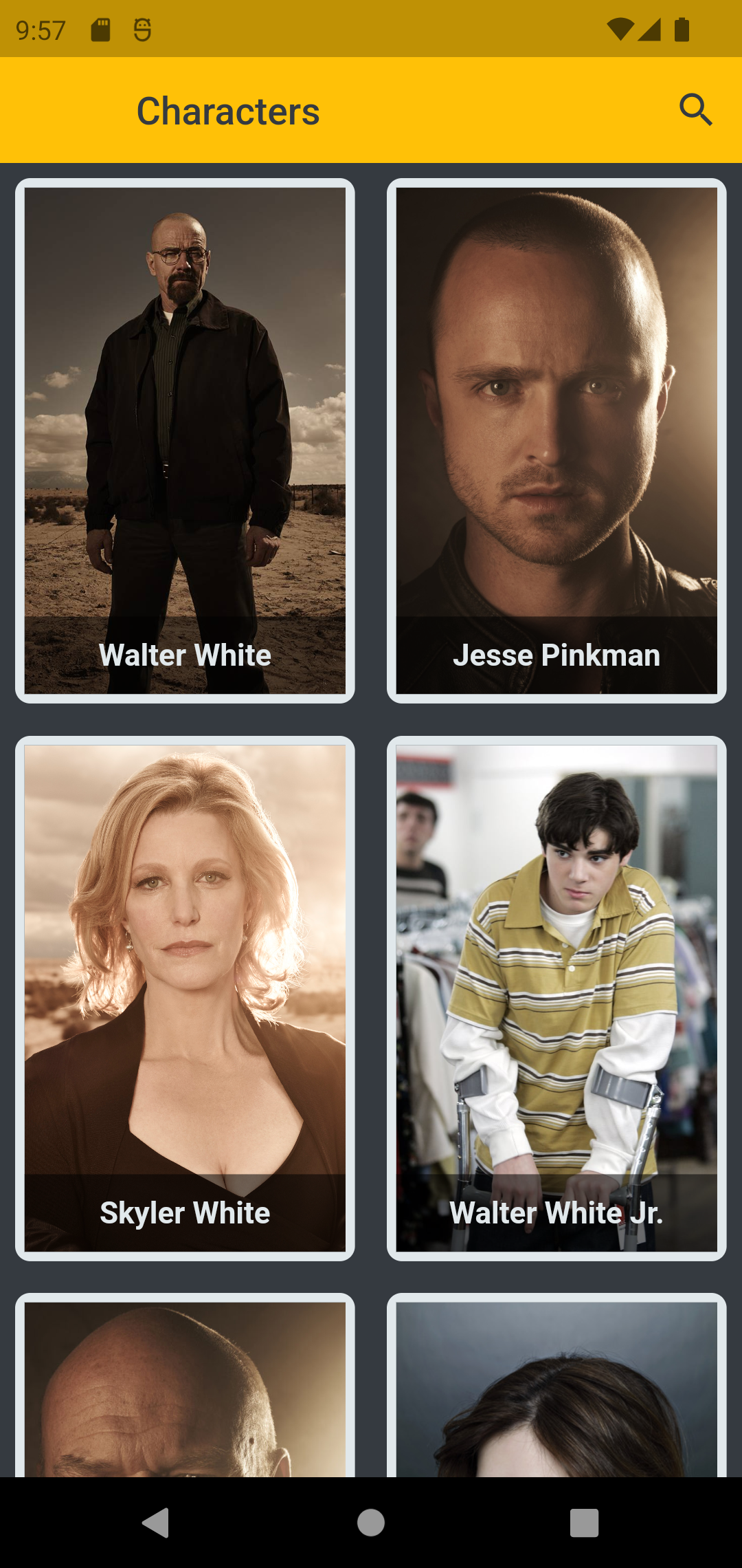 GitHub - MoRashad/flutter_breaking_bad