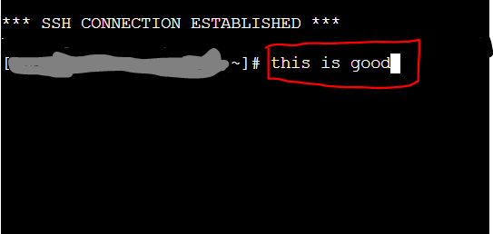 Is There A Way To Customize Terminal Input Style With My Own Js Css Or Html Element · Issue 3482