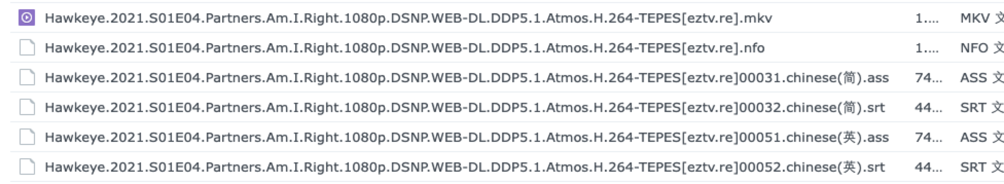 下载的字幕在文件名中多了00031或者00051 · Issue #123 · ChineseSubFinder ...