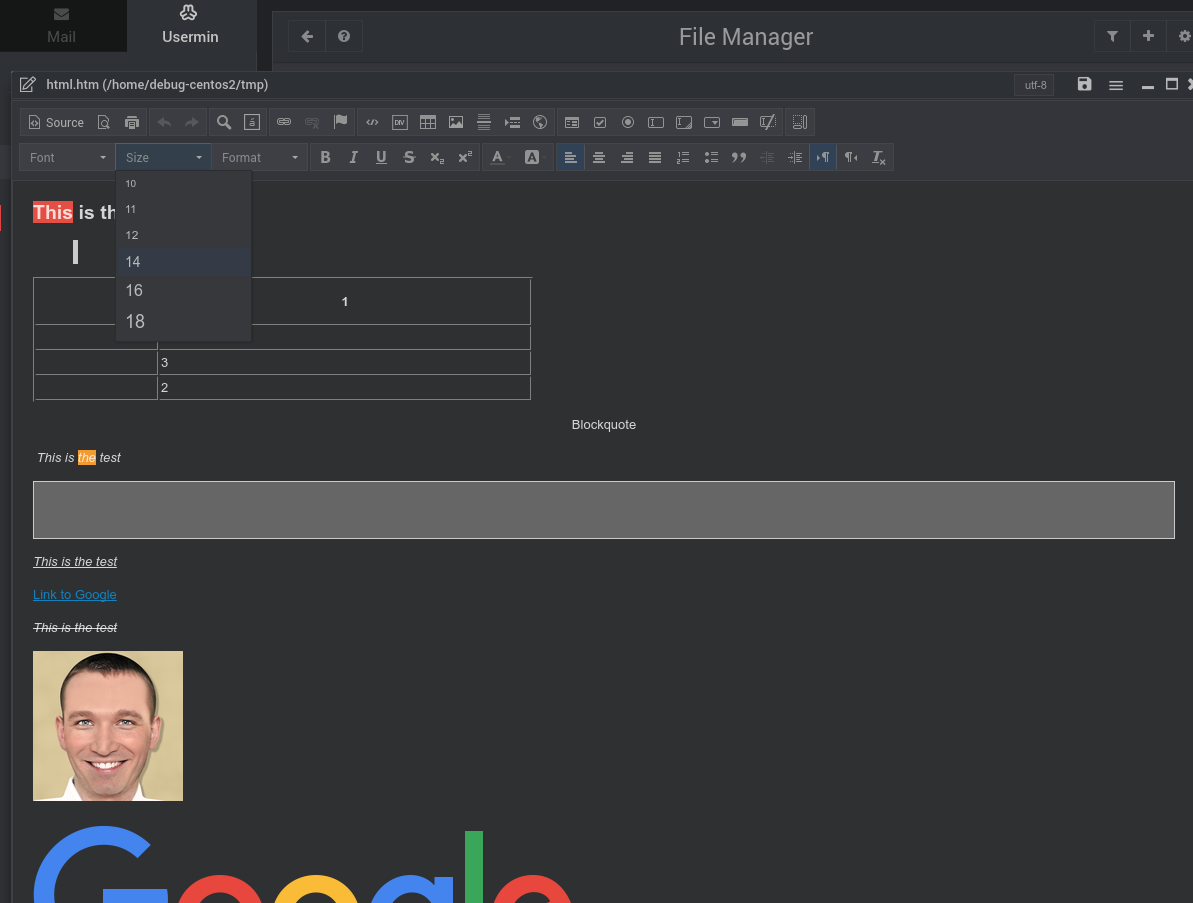 Adding HTML editor to File Manager · Issue #1031 · webmin/authentic-theme · GitHub