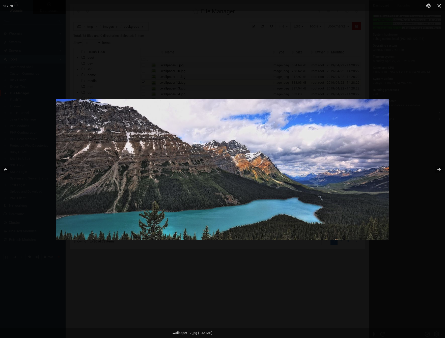 Add ability to preview images directly on the server · Issue #1323 ...