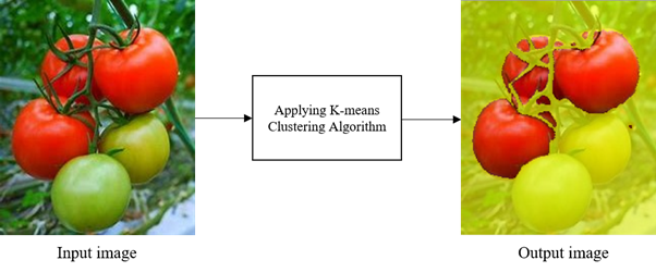 Github Karthikvijayjirlimath Tomato Segmentation