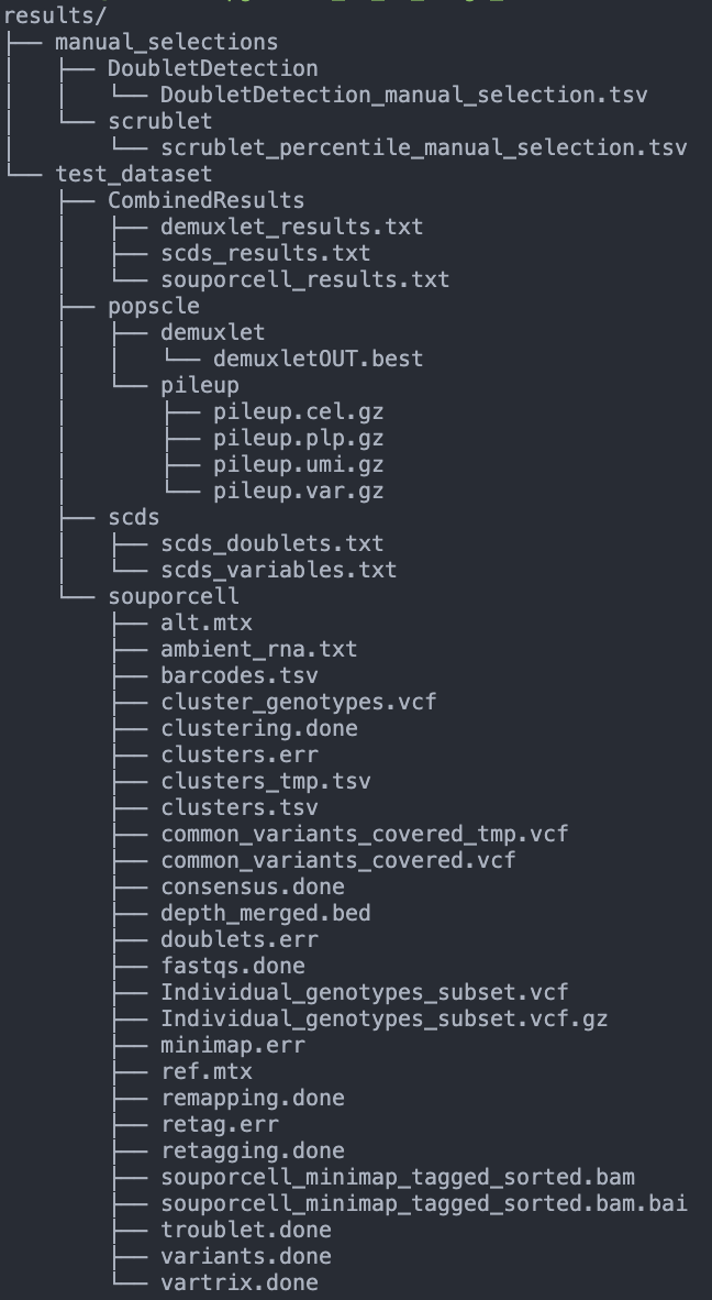 Running the Pipeline