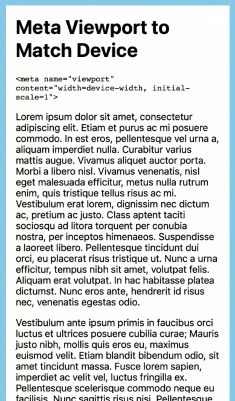 [BUG] webkit video created in Docker incorrectly scaled/cropped ...