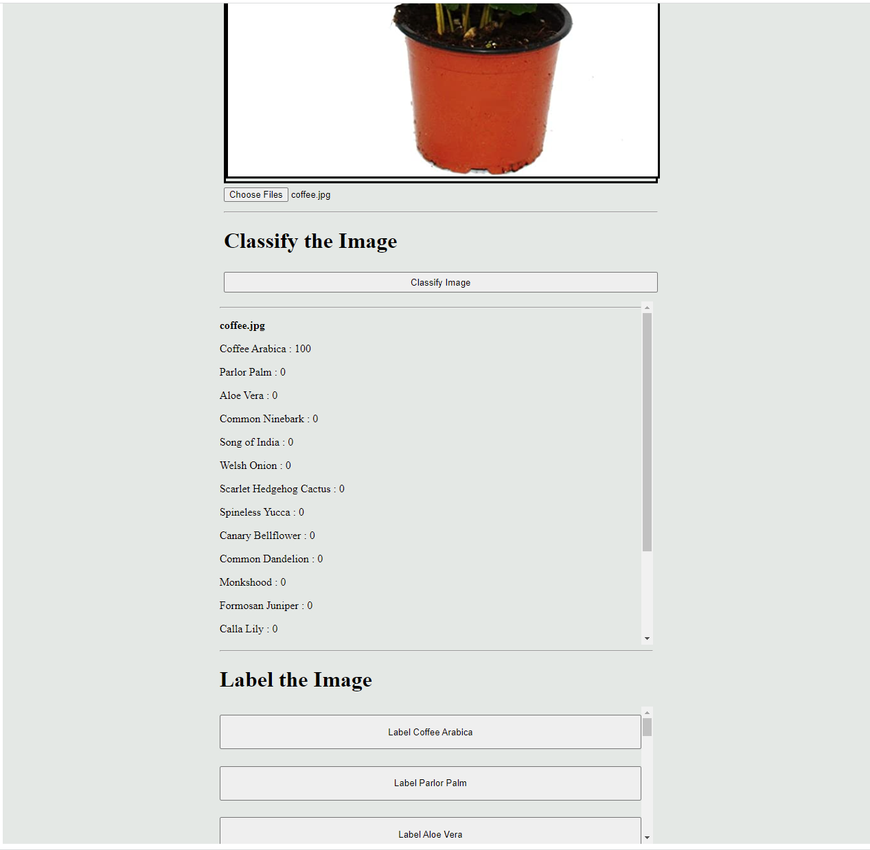GitHub - Bailym/PlantClassifier: A web based plant classifier using the ... GitHub - Bailym/PlantClassifier: A web based plant classifier using the ...