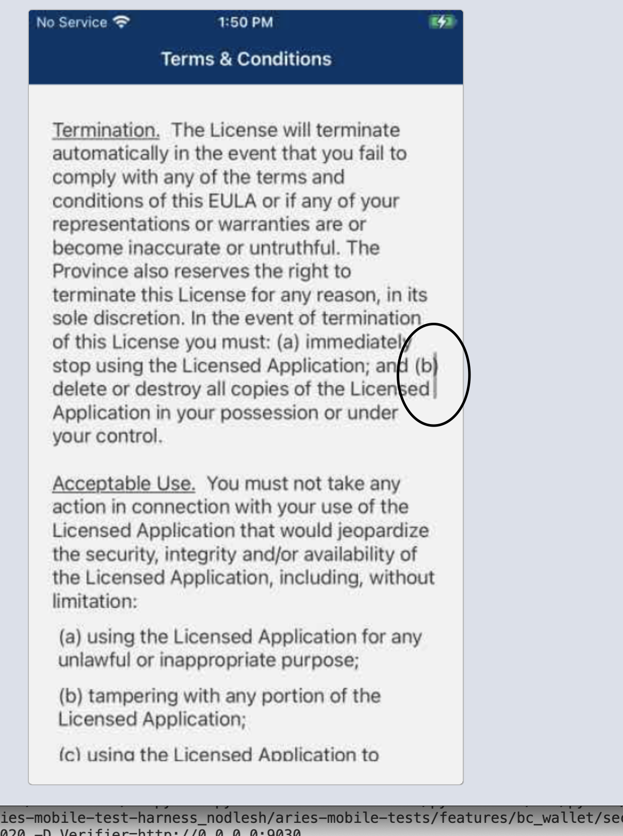 Terms and Conditions screen · Issue #148 · openwallet-foundation/bifold-wallet · GitHub